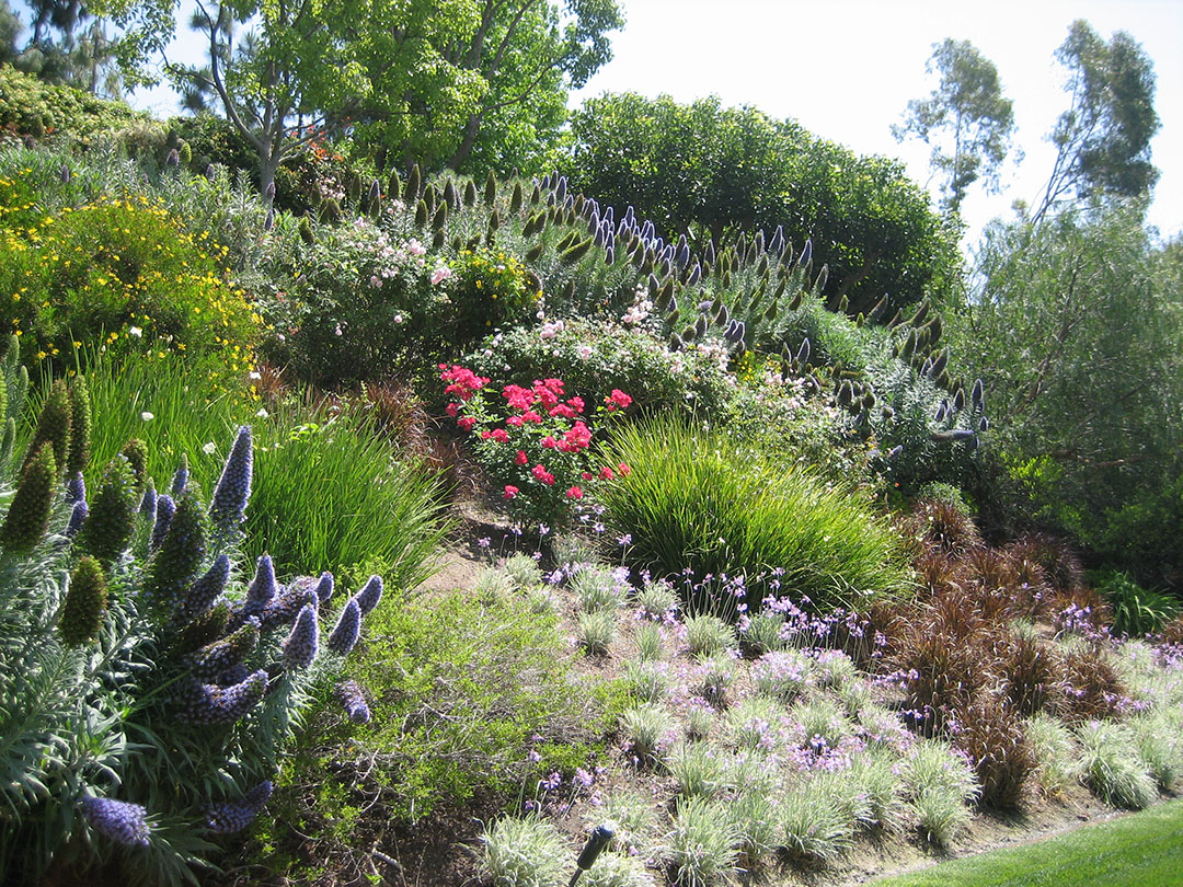 Diseño de parques y jardines en terrenos con pendiente